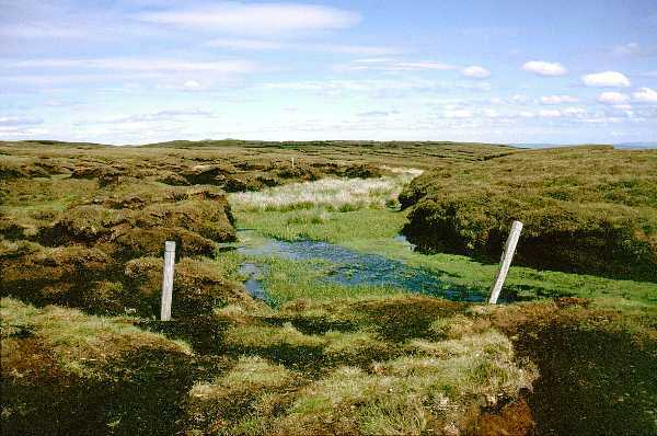 Source of River Severn
